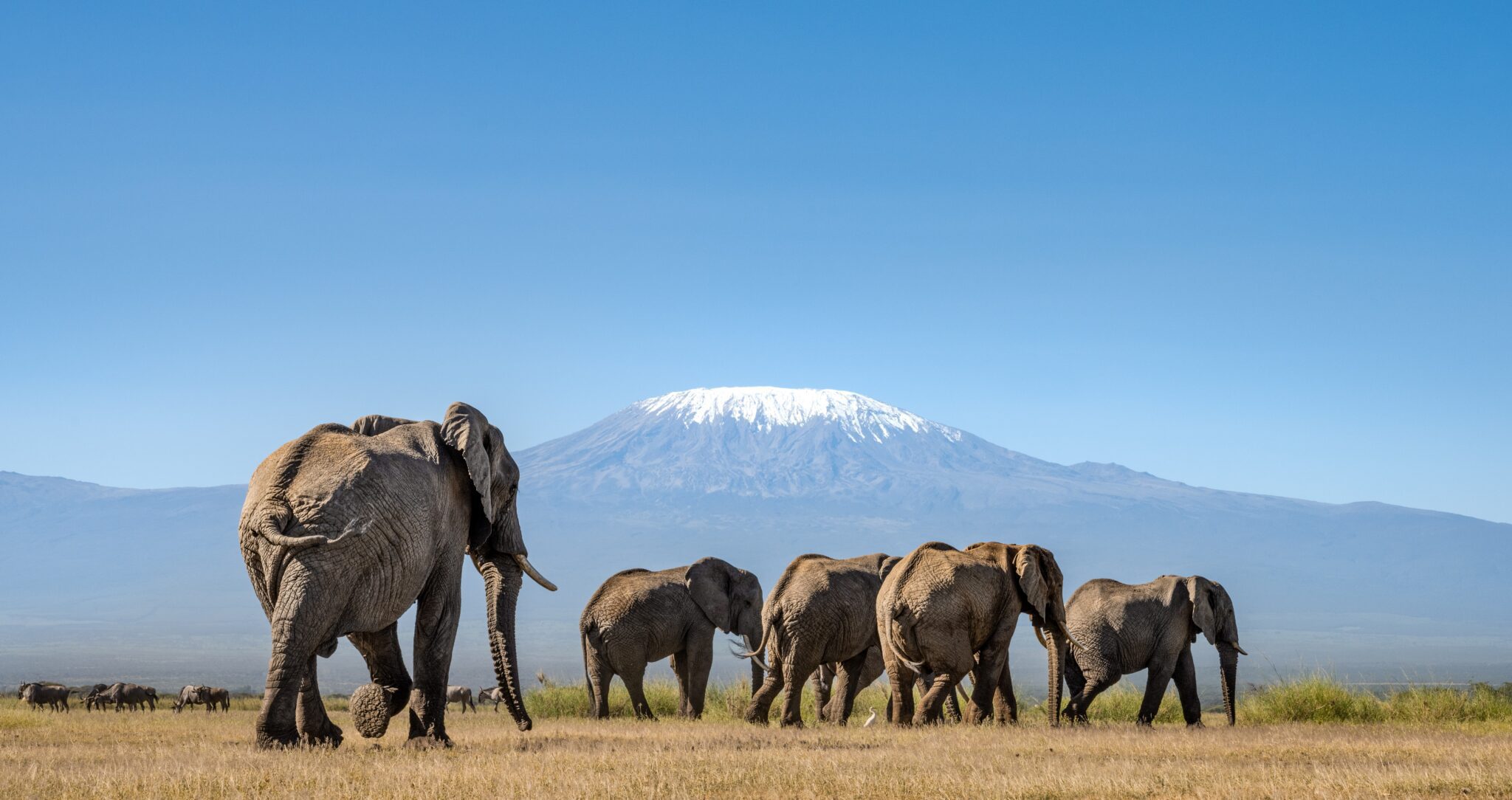 climbing-kilimanjaro - Hola Africa